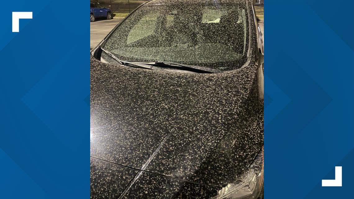 Texas storm covers Ohio cars in dust, dirty rain | wtol.com