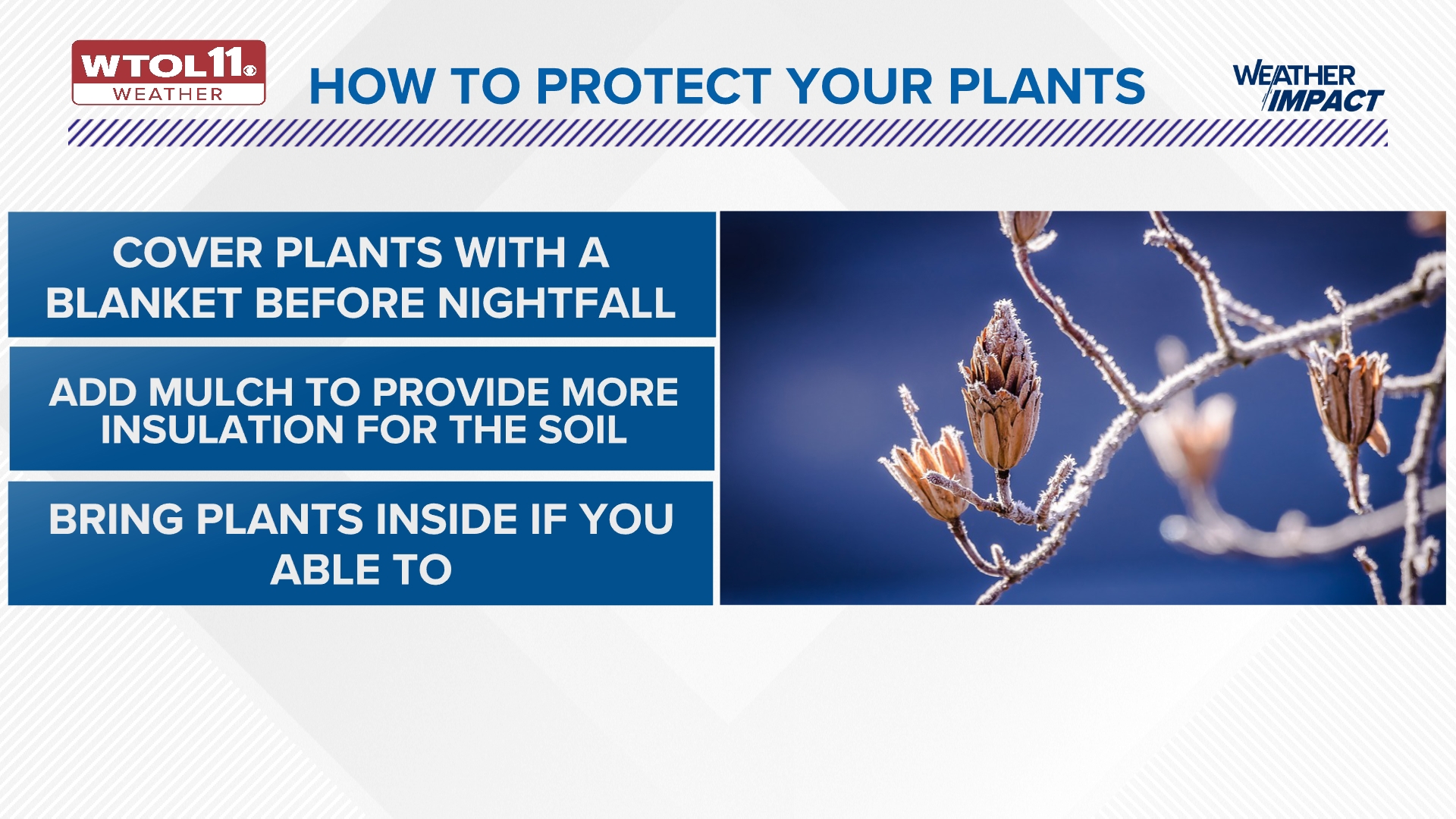 What causes frost? | wtol.com