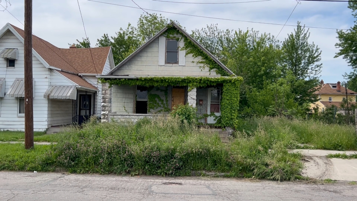 North Toledo resident calls for action on overgrown properties along ...