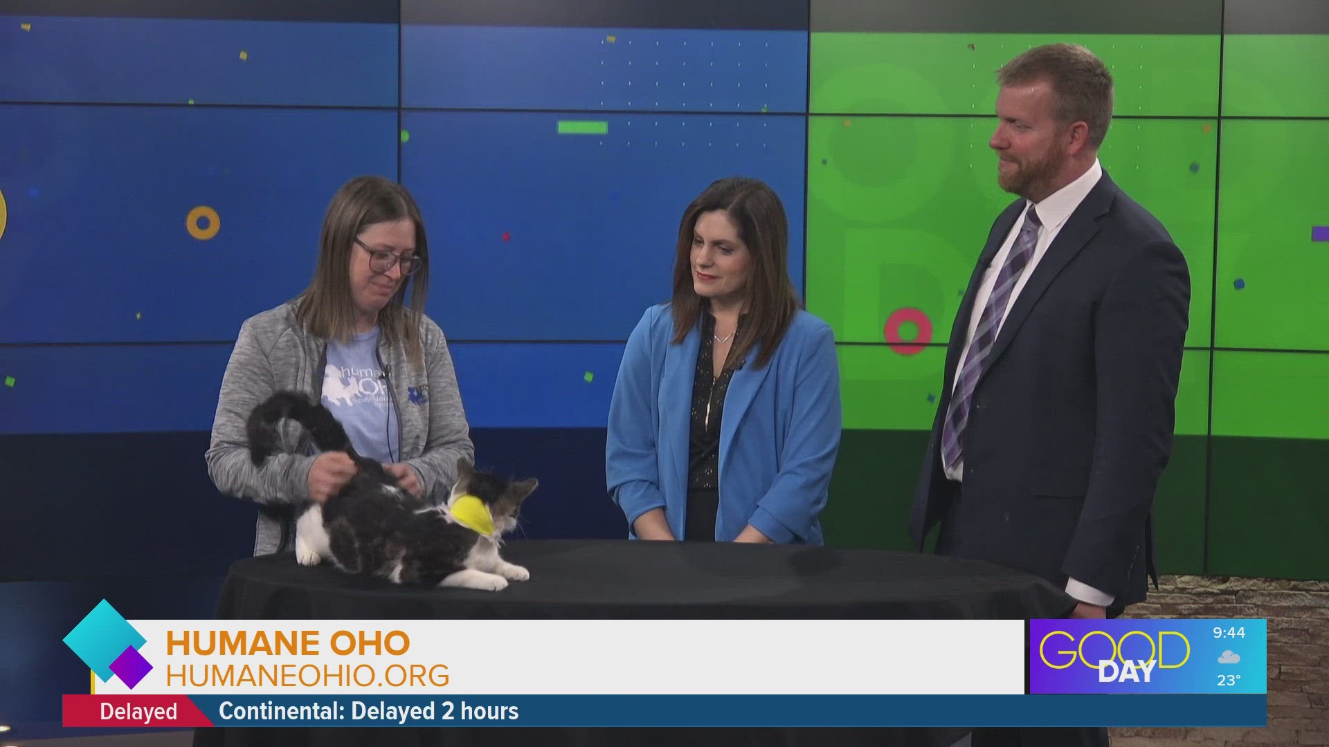 Ads are coming to ChatGPT soon, OpenAI announces | wtol.com