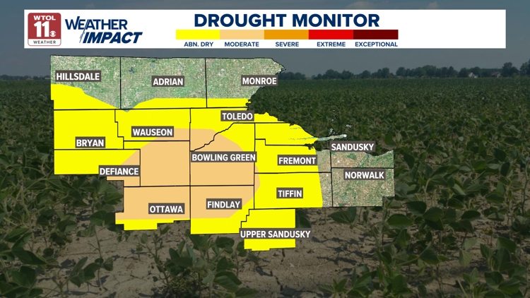 Drought impacts wildlife in northwest Ohio | wtol.com