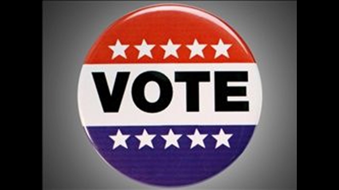 PRIMARY ELECTION VOTER GUIDE 2023: What you need to know about the ...