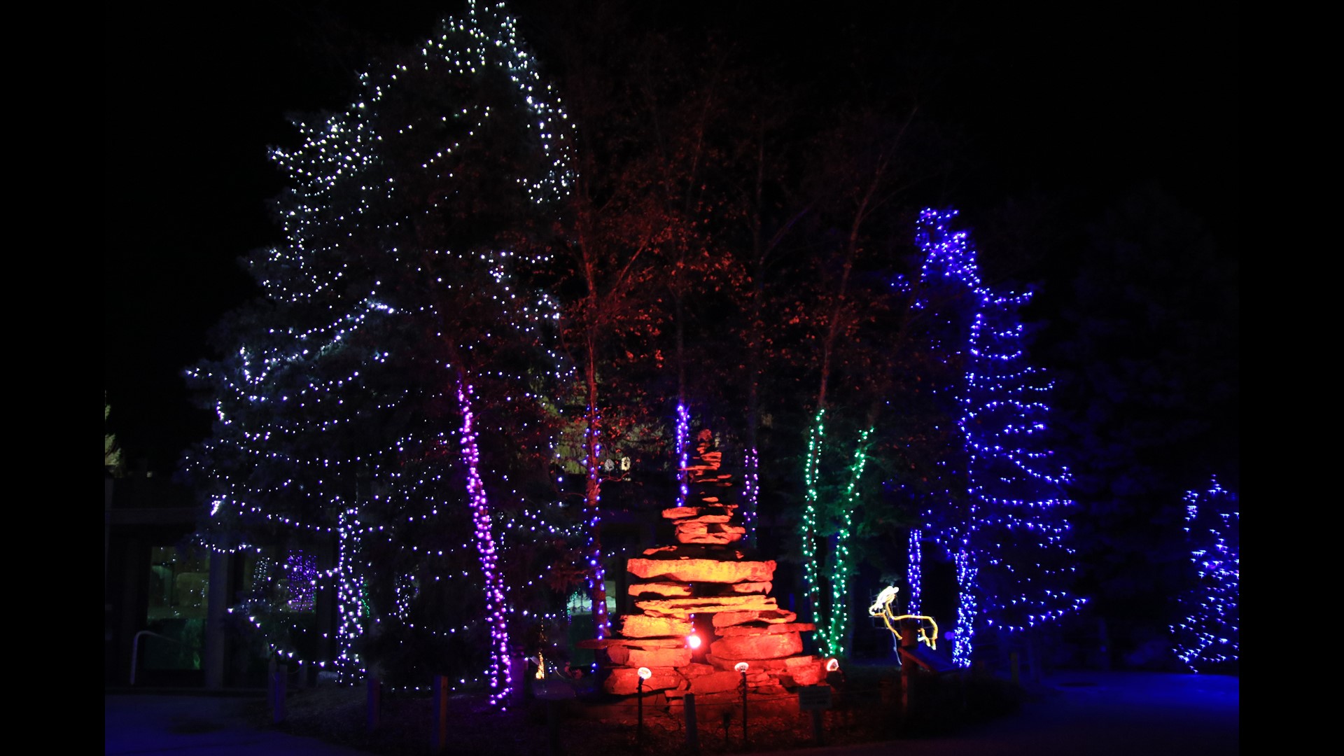Toledo Zoo Lights Before Christmas Guide 2022 | wtol.com