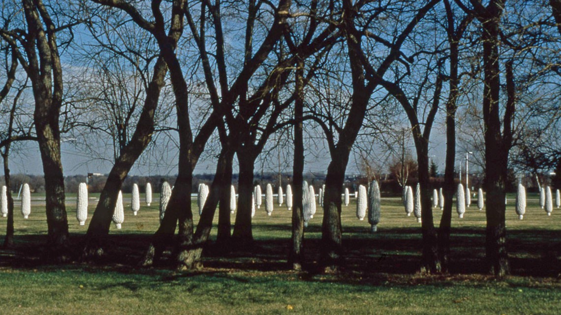 Concrete corn field draws visitors to Dublin, Ohio | wtol.com