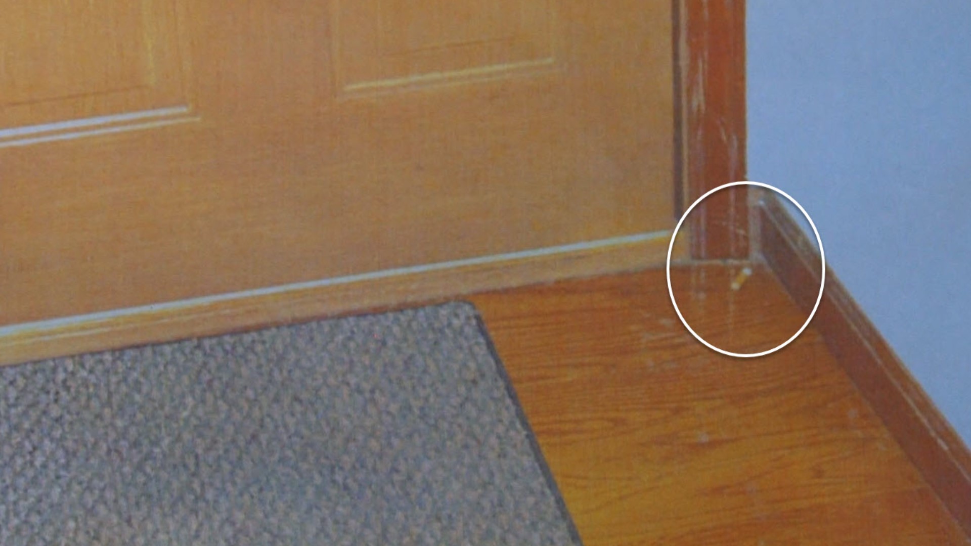 Johnny Clarke Lisa Straub killed in Ohio double murder 2011 | wtol.com