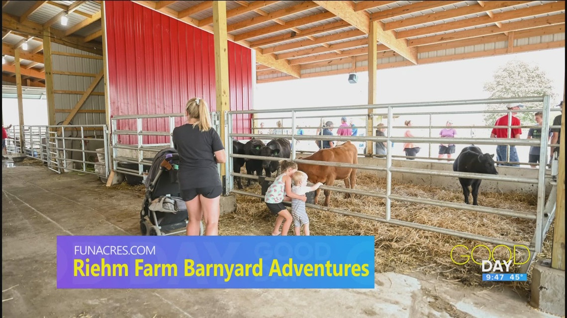 Riehm Farm Barnyard Adventures: Barnyard fun, corn maze and more | Good ...