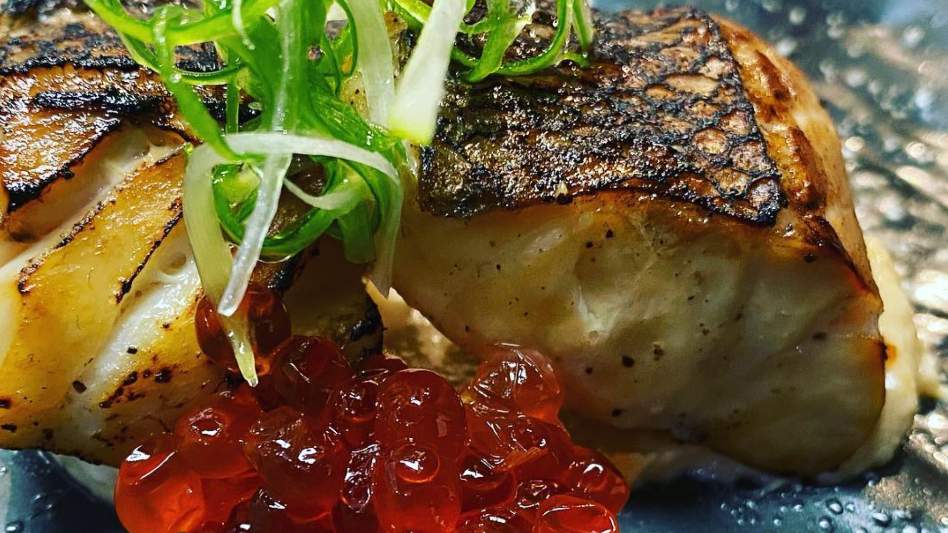 Popular chef opening 45 seat restaurant at Toledo casino | wtol.com