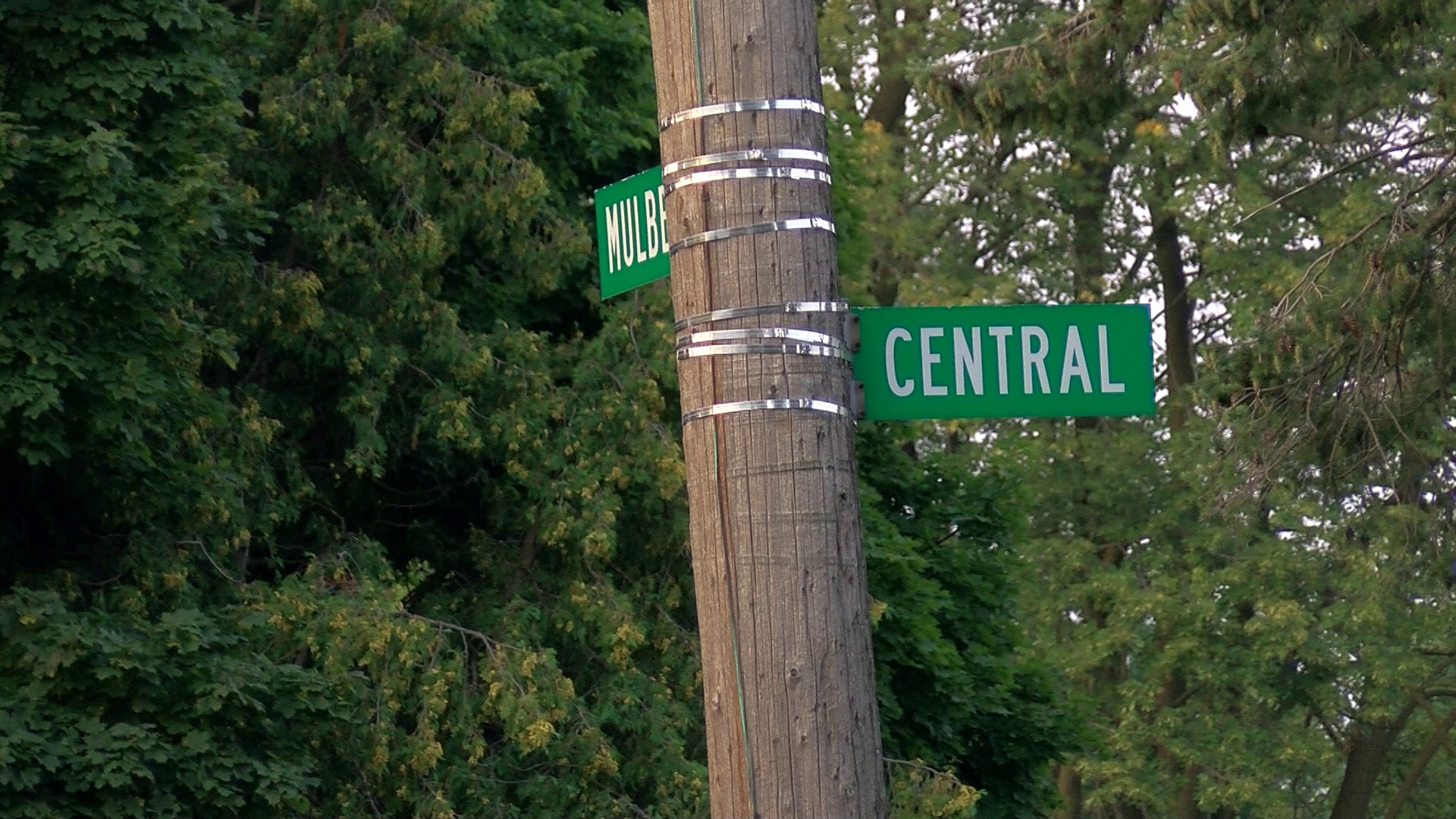 Shooting in North Toledo: 1 Dead, 1 Injured | wtol.com