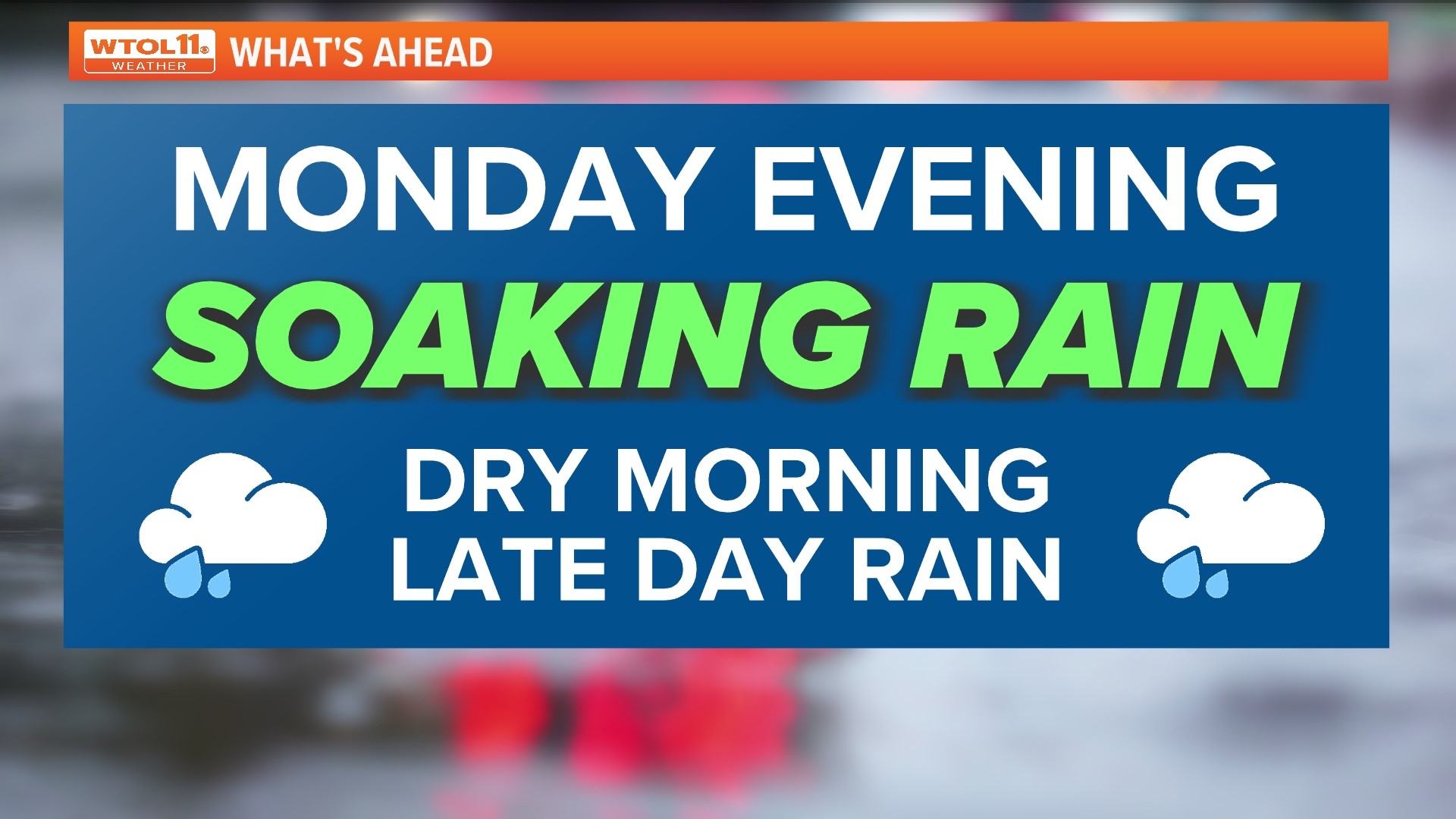 What is shark finning? Historic ban poised to become U.S. law | wtol.com