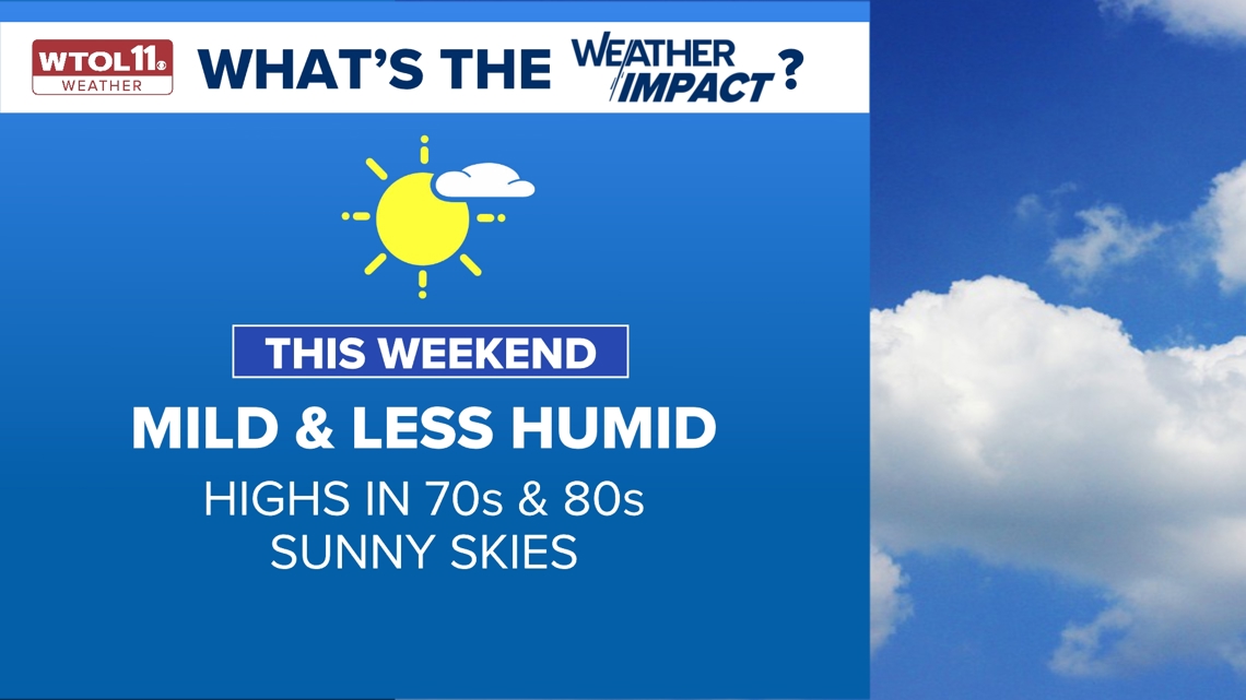 Mayflies signal summer's arrival on Lake Erie | wtol.com