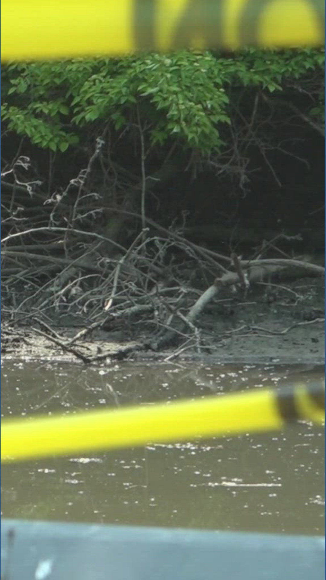 Recent water tests confirm Swan Creek E. coli levels still exceed Ohio ...