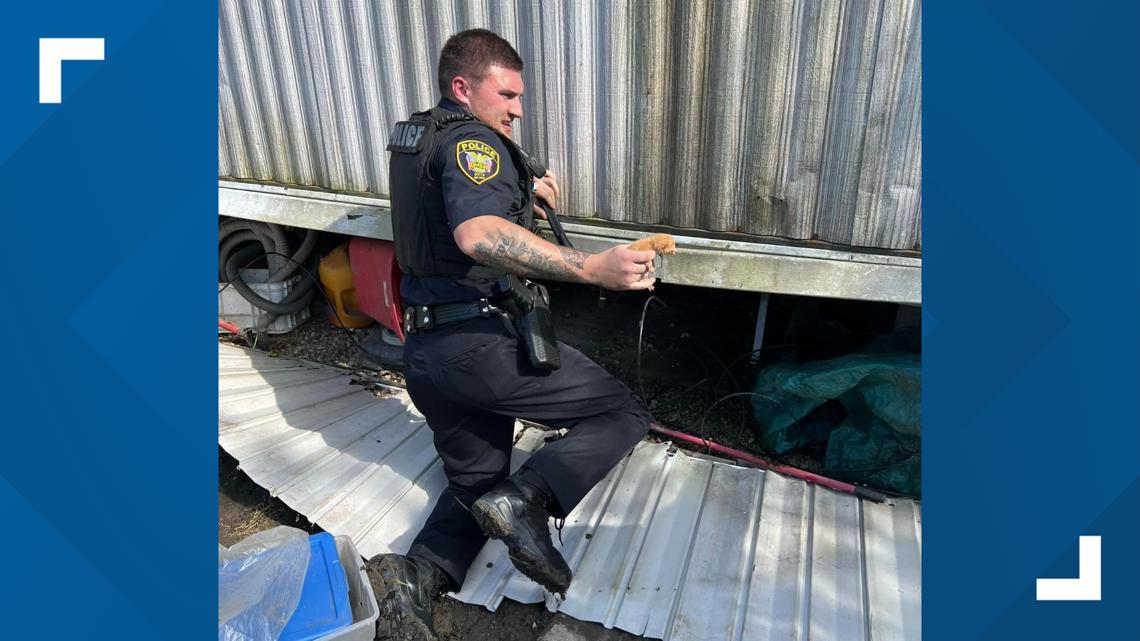 First ducks, not kittens. Animal hero officer is at it again | wtol.com