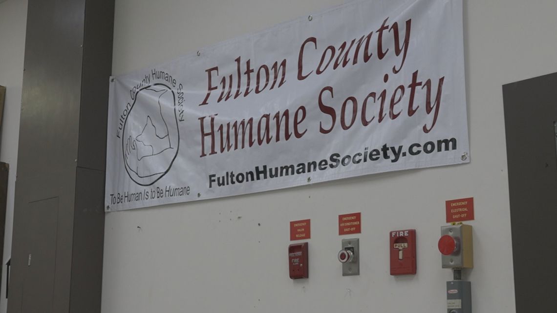 Fulton County Humane Society reminding residents: spay, neuter, don’t ...
