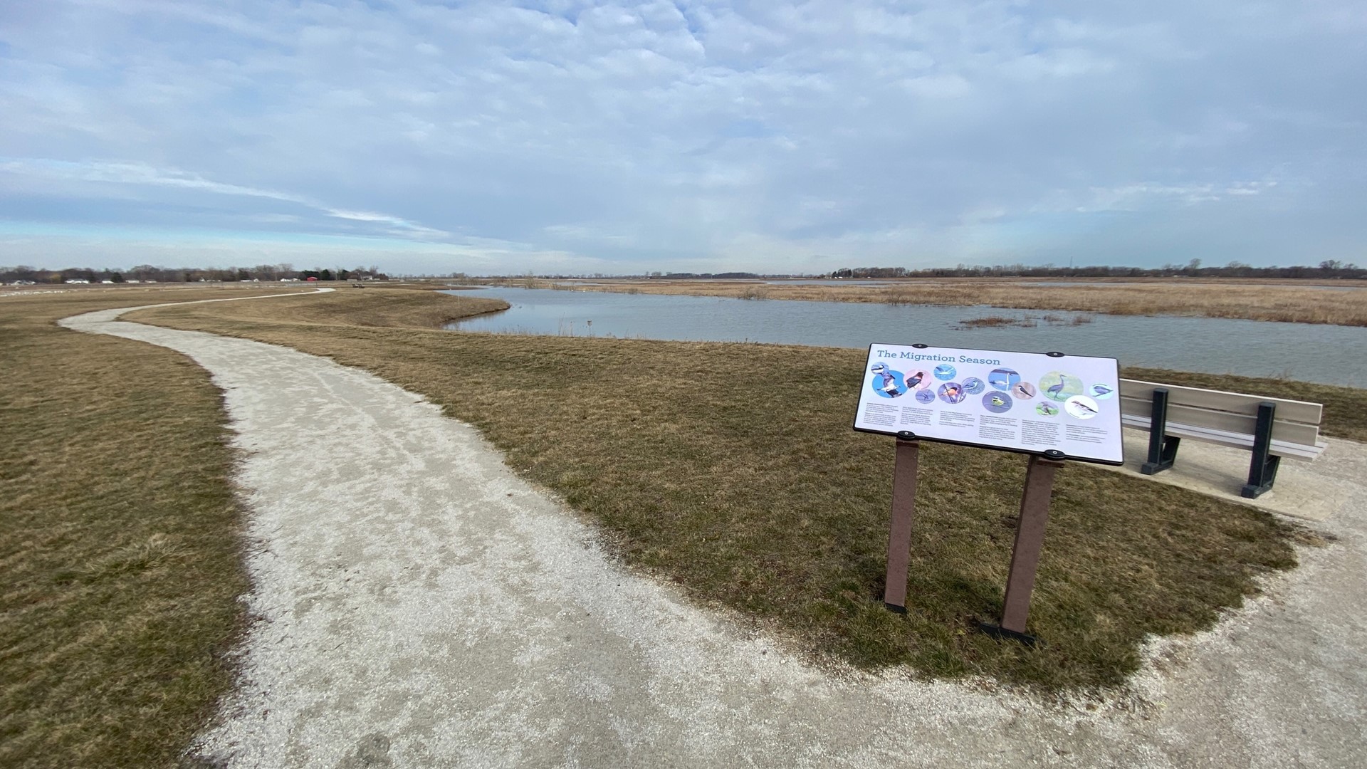 Go 419: Howard Marsh Metropark is hotspot for birdwatchers | wtol.com