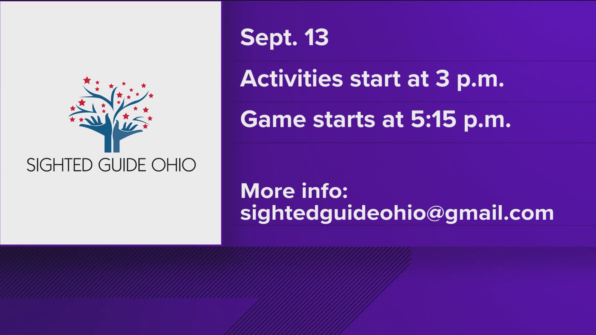 More than just baseball: Field of Abilities Day shares love of sport ...