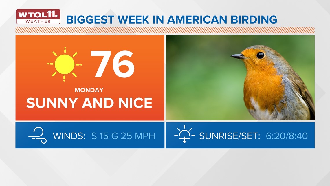 Watch | WTOL Live and On-demand video | Toledo, Ohio | wtol.com