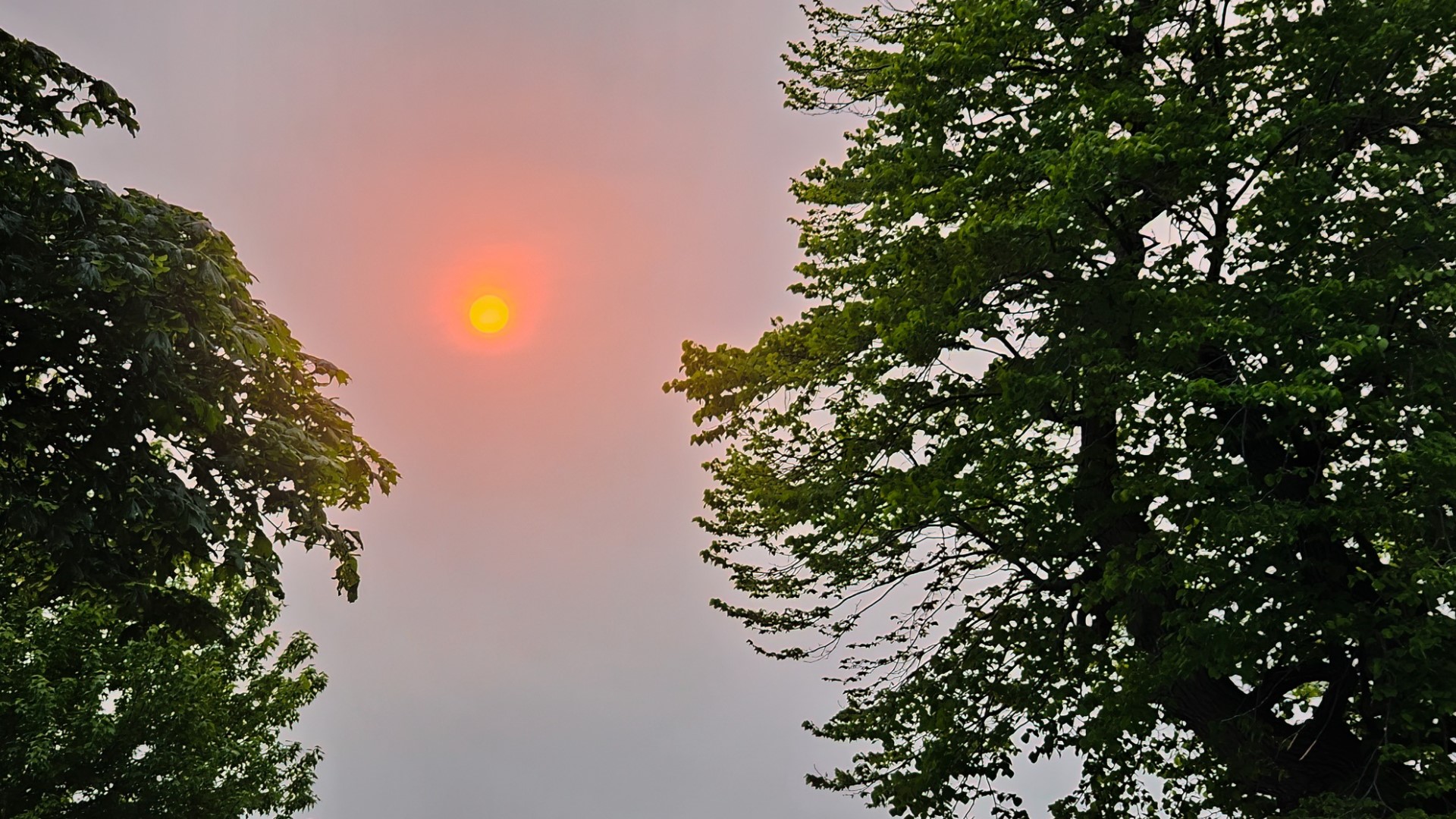 Why is the sunset red? | wtol.com