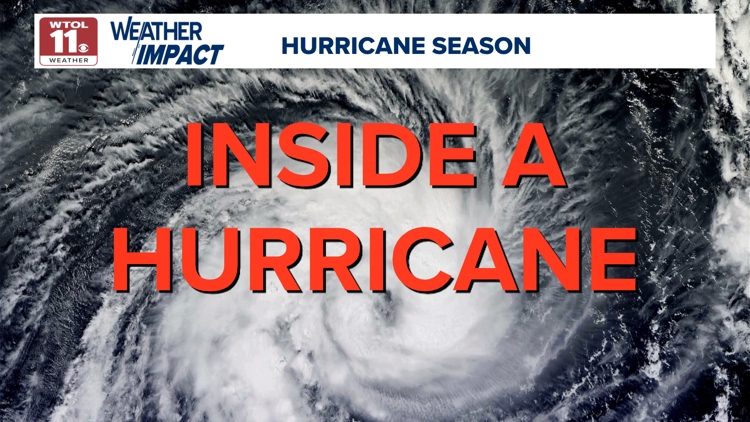 Understanding the anatomy of hurricanes | wtol.com