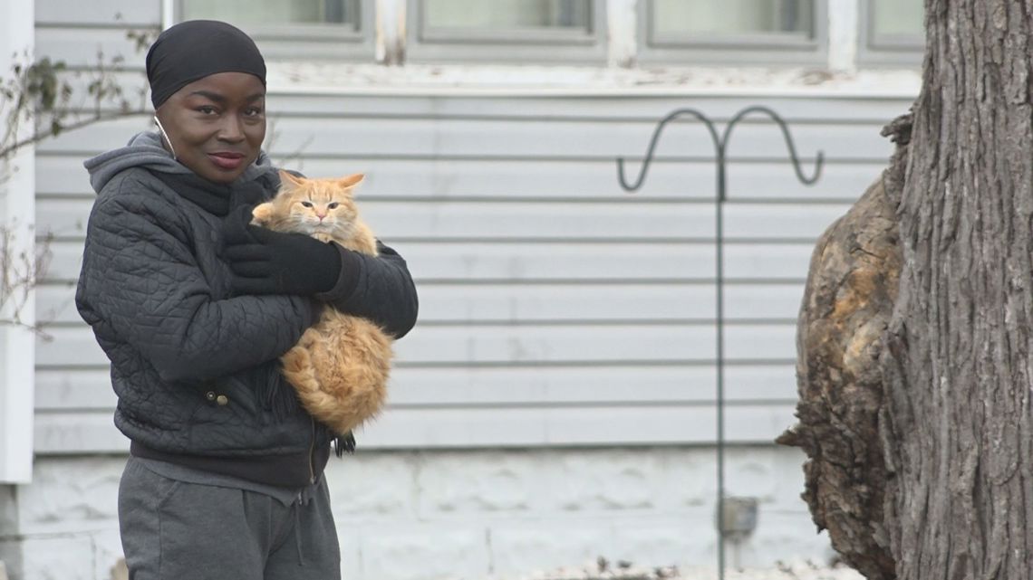 Toledo woman rescues her cat from tree after viral 20-foot climb | wtol.com