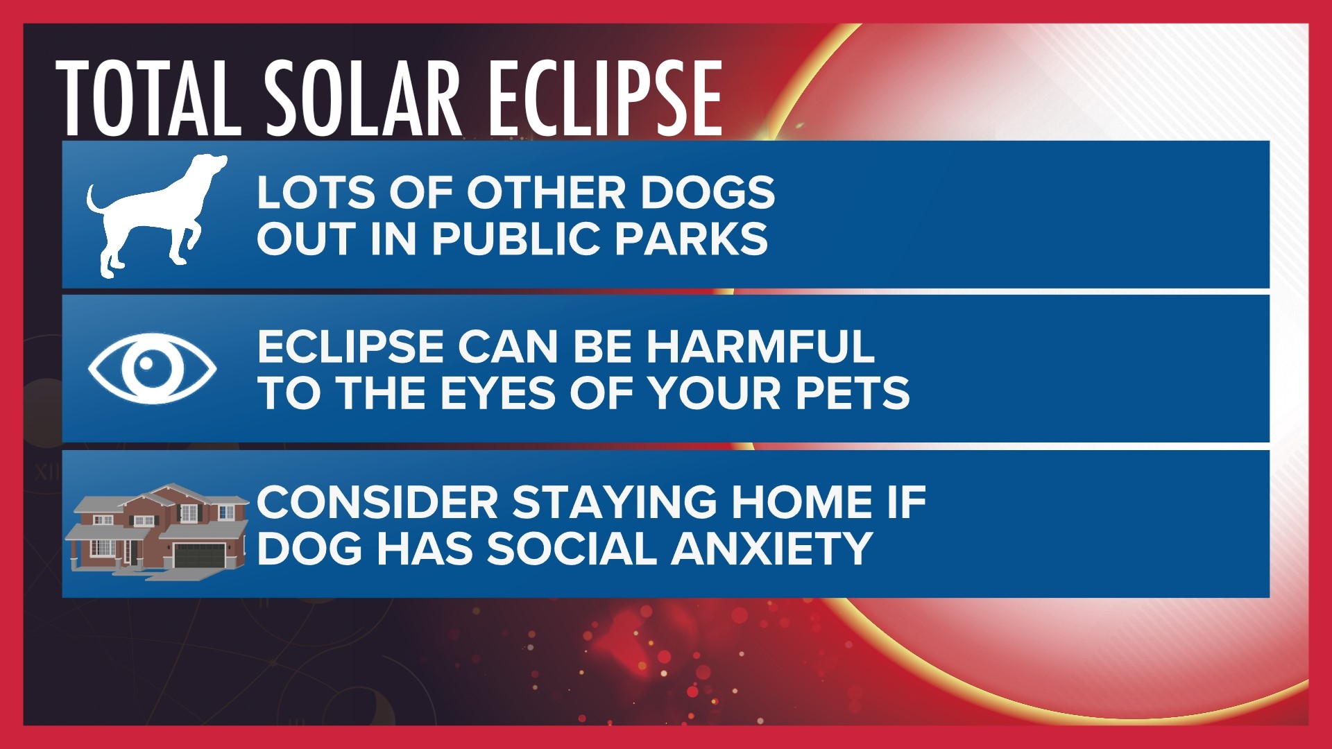 How to prepare pets for the total solar eclipse | wtol.com