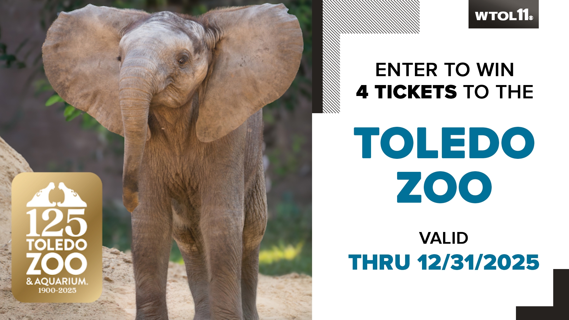 Congrats to our winners! | wtol.com