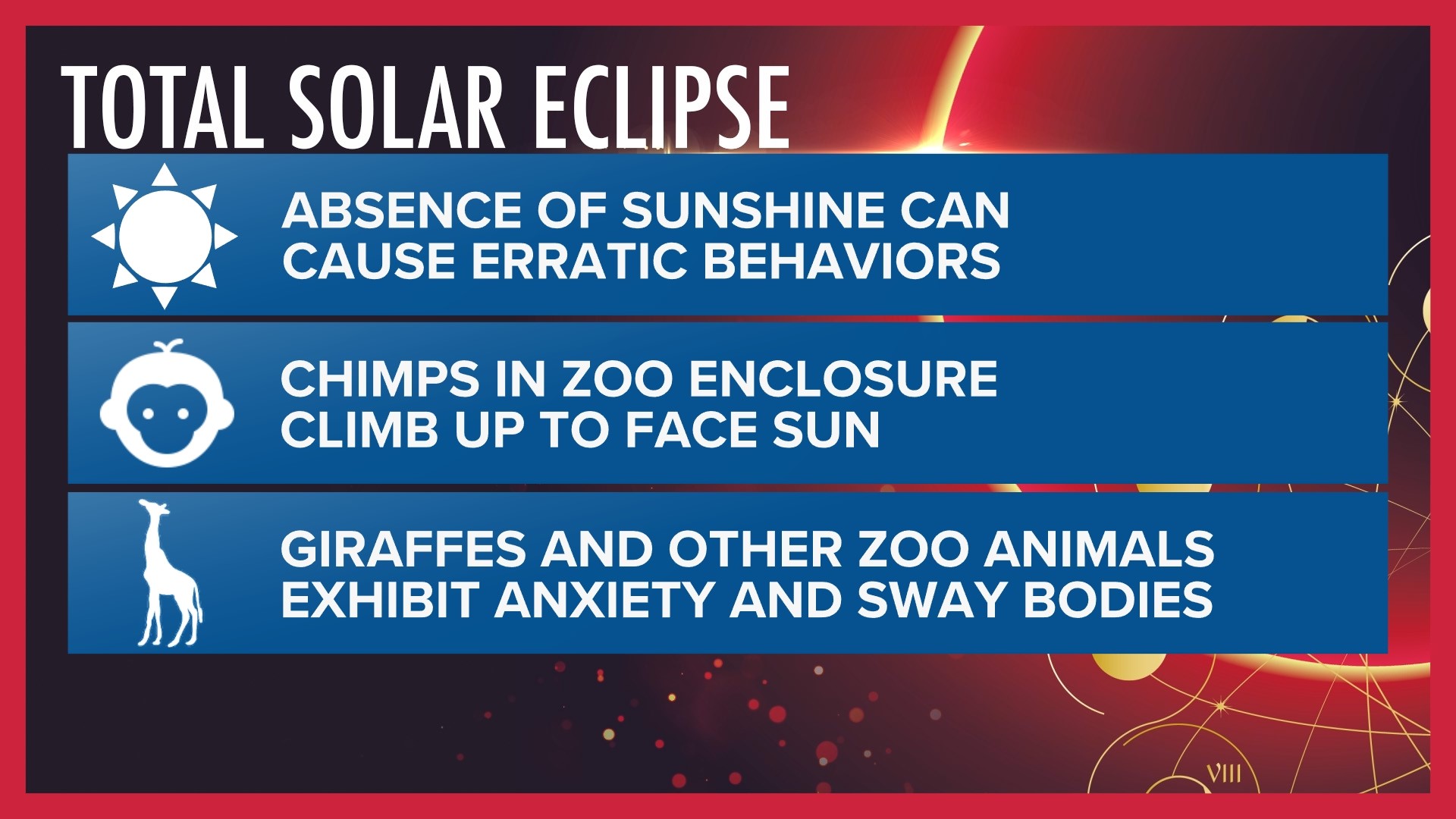 How to prepare pets for the total solar eclipse | wtol.com