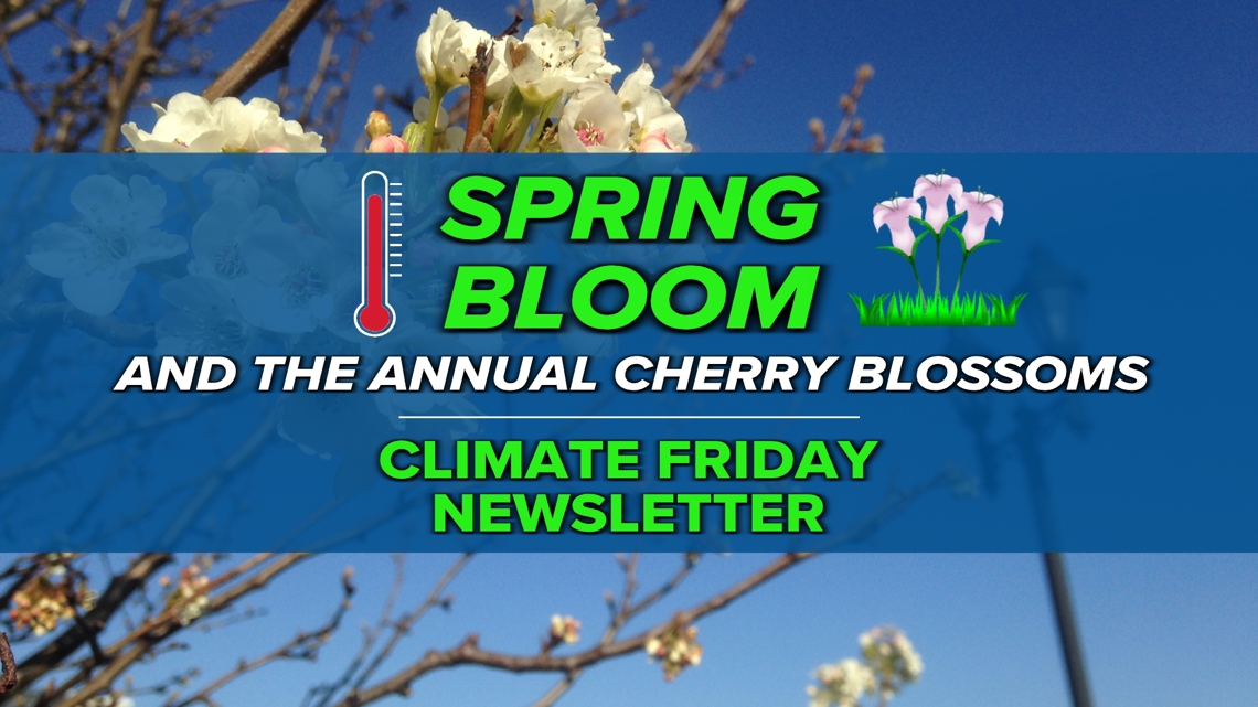 Springtime signs arrive earlier as climate change continues | Climate ...