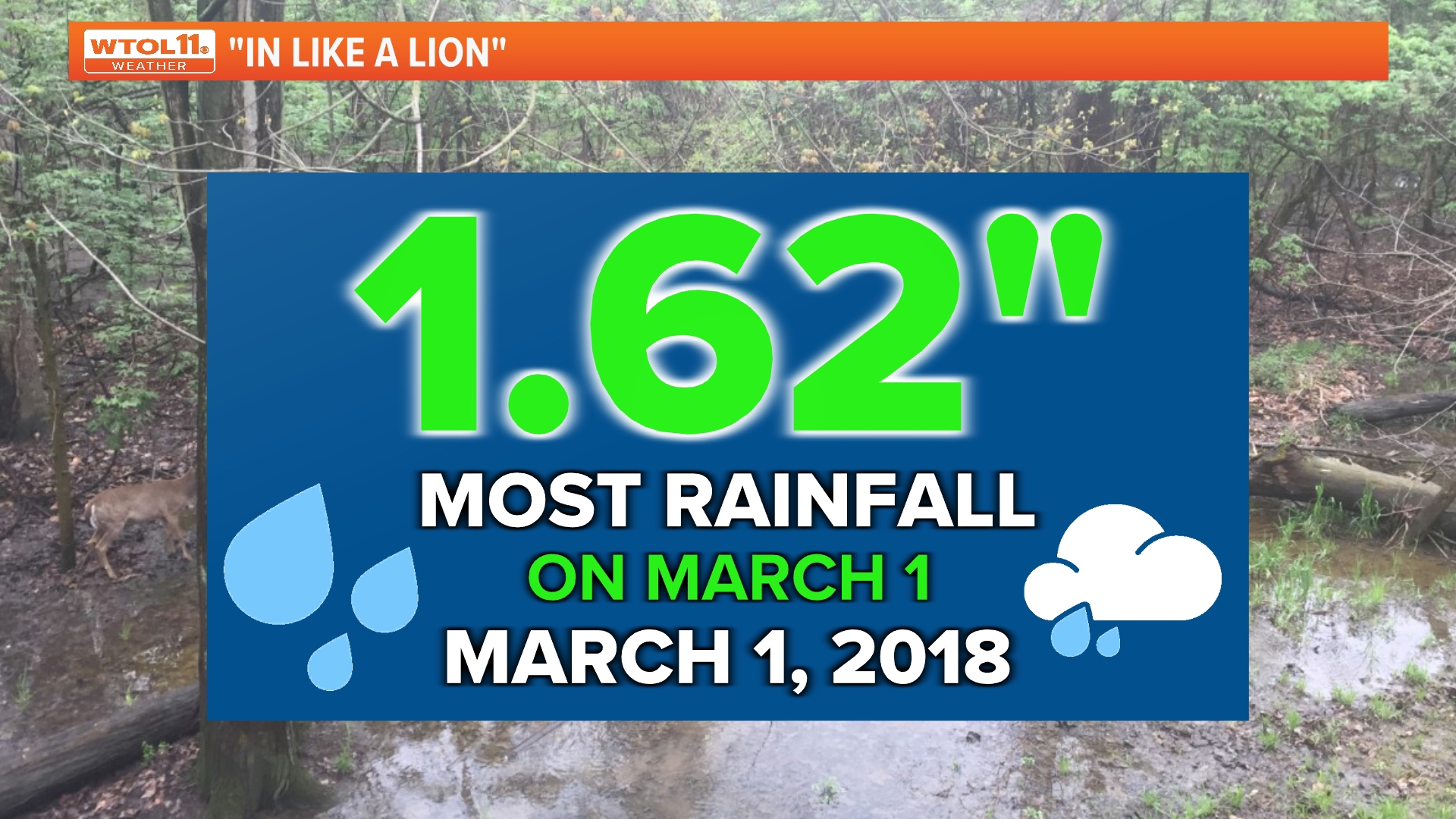 In like a lion, out like a lamb: Is it really true? | Climate Friday ...