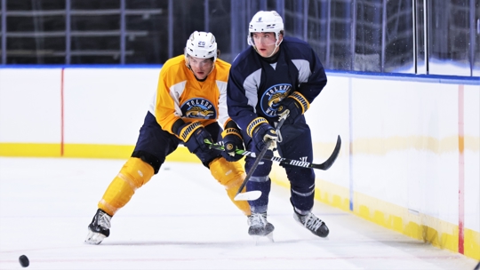 Check out Red Wings goaltender Gage Alexander's eye-catching mask ...