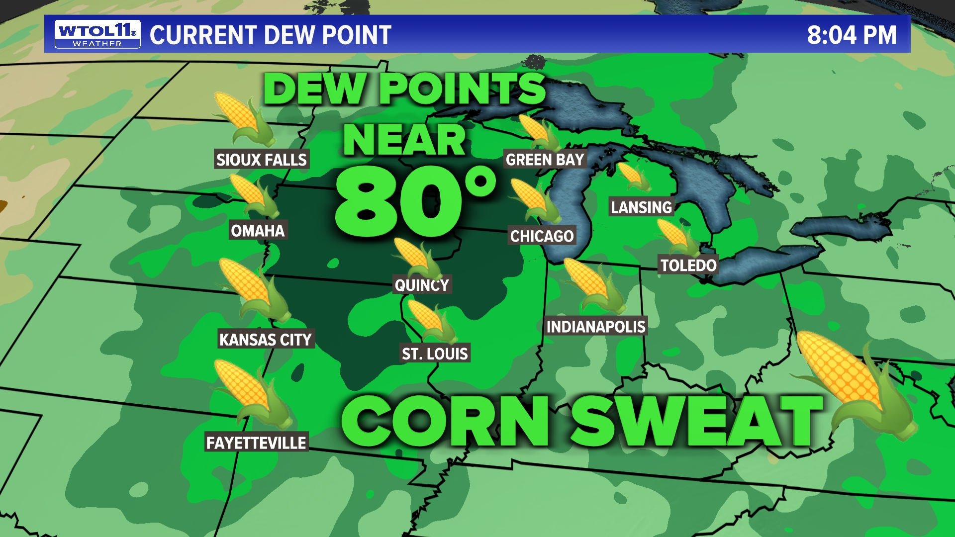 'Corn sweat' in the Midwest contributes to heat, humidity | wtol.com
