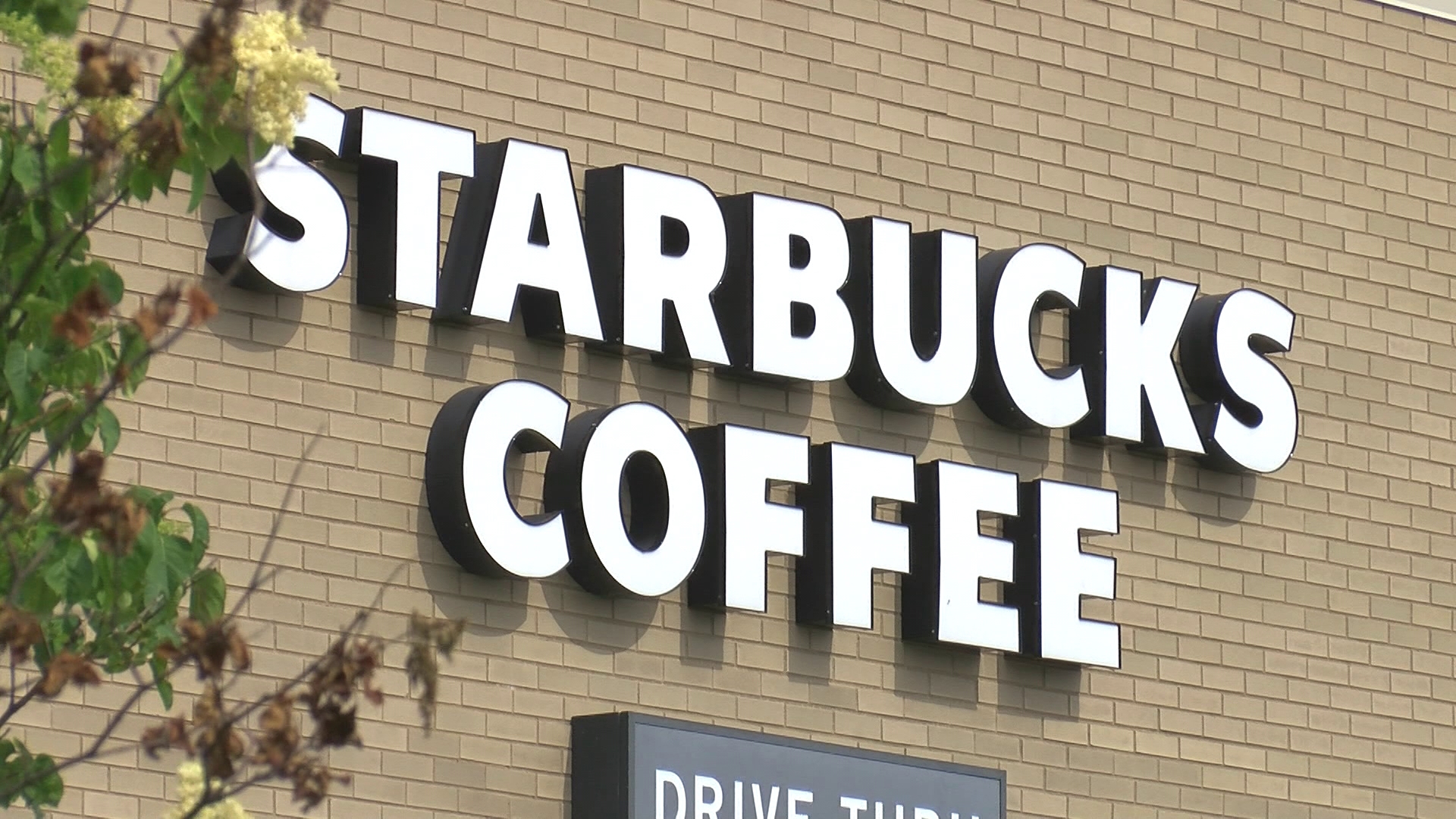 Bowling Green Starbucks workers to rally for fair contract, better ...