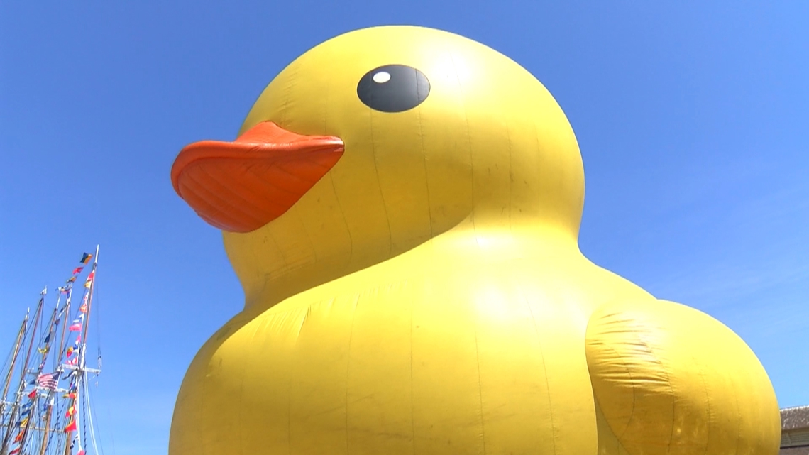 World's Largest Rubber Duck making stop at Put-in-Bay in August | wtol.com