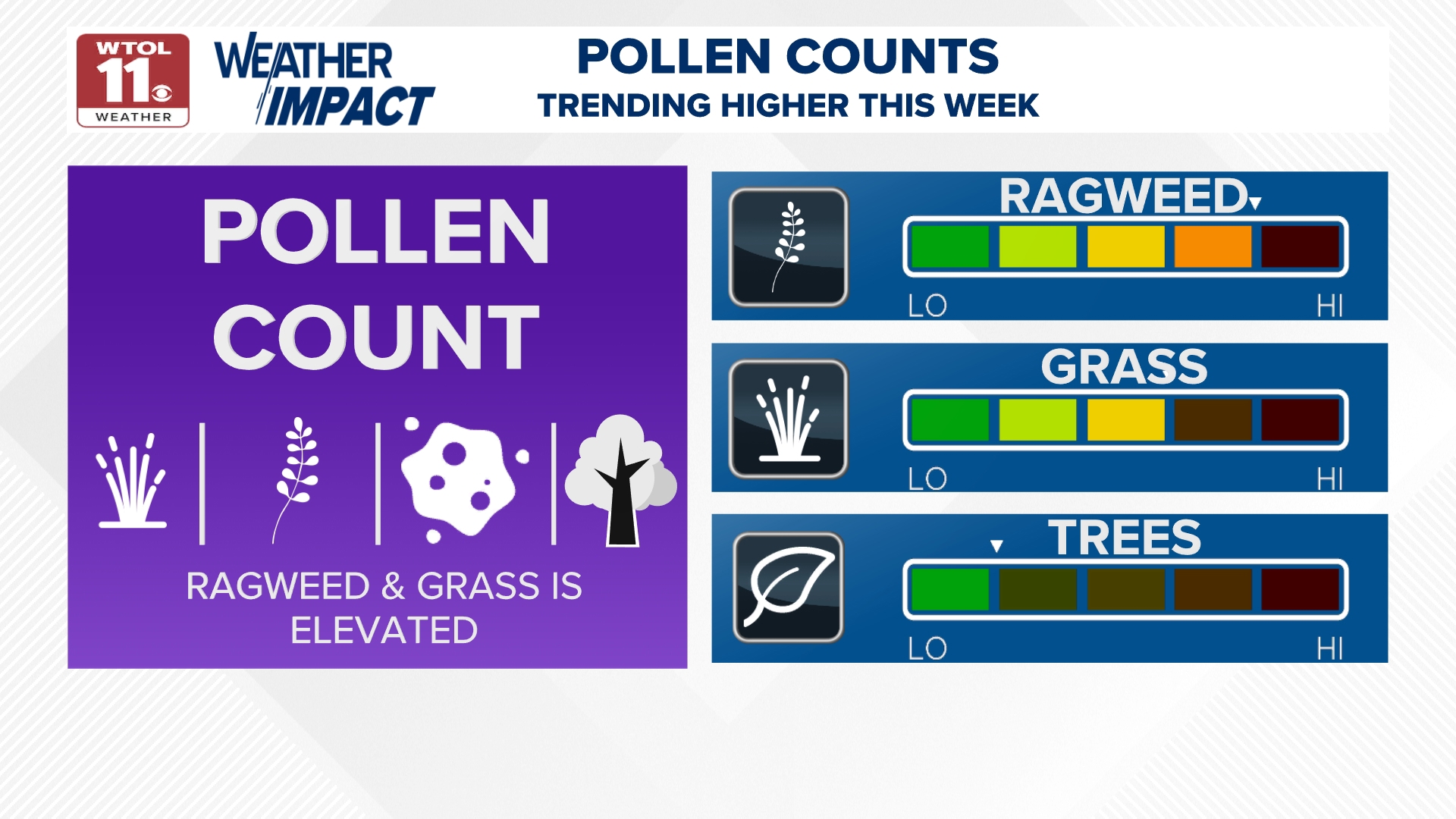 What to know about ragweed pollen during allergy season | wtol.com