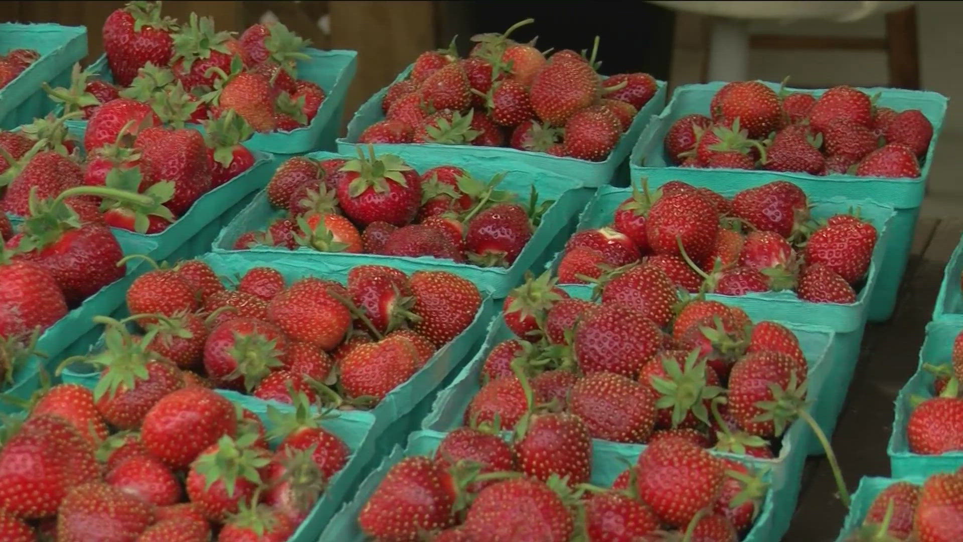 Strawberry shortage hits U-pick farms due to cold spring and wildfire ...