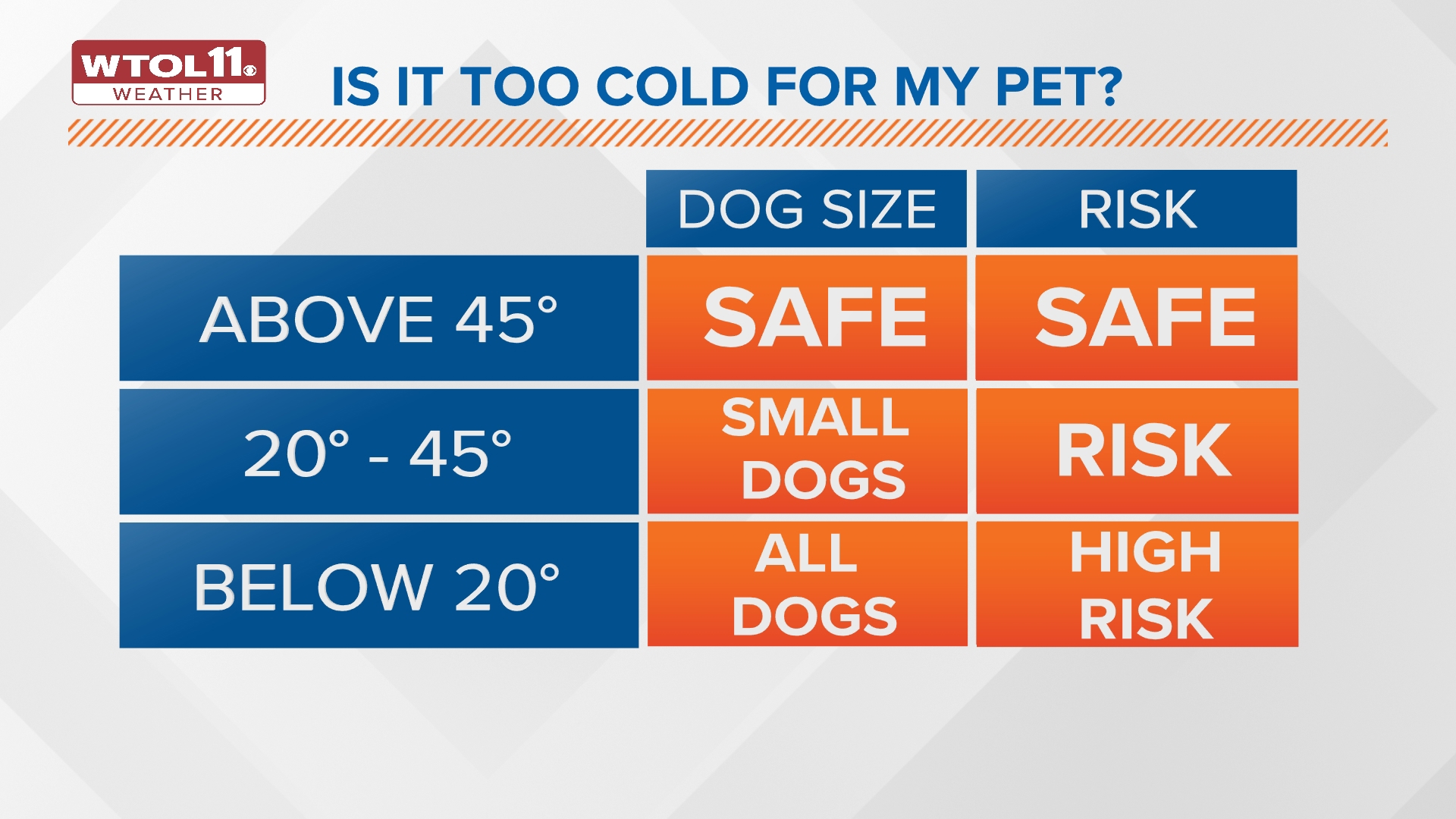 How cold is too cold for your pets to be outside? Tips on keeping them ...
