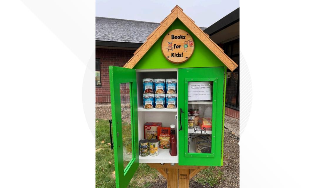 Maumee Free Little Libraries to transform into food pantries during ...