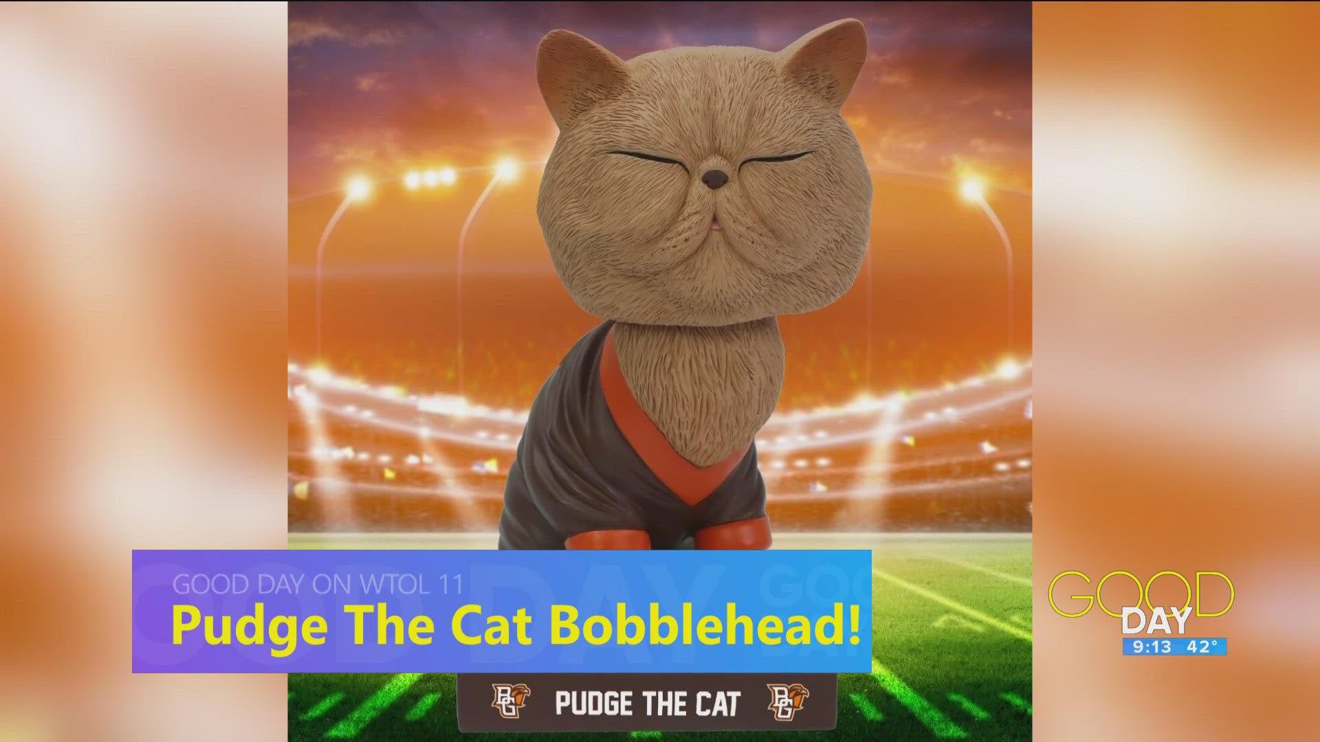 First-ever Pudge the Cat bobblehead goes on sale Thursday | wtol.com