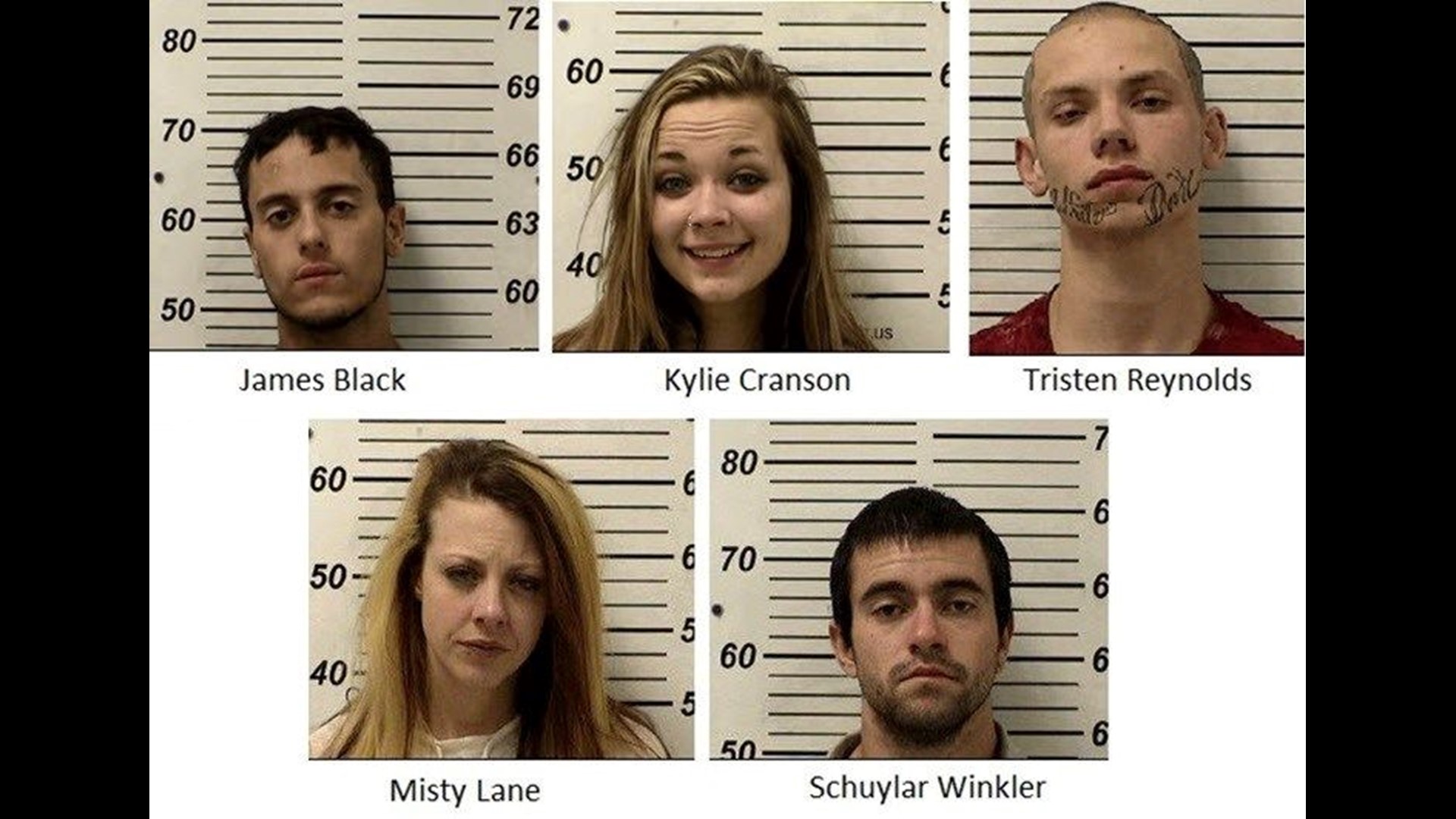 5 arrested in Defiance meth lab bust | wtol.com