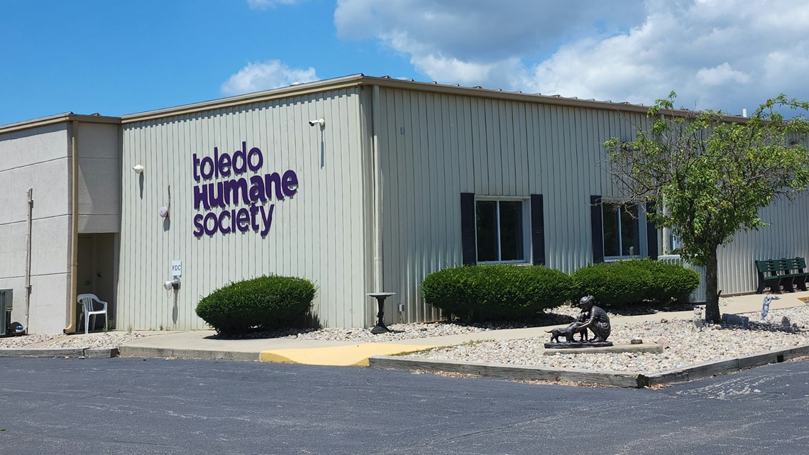 Toledo Humane Society seeks public's help with dog cruelty case | wtol.com