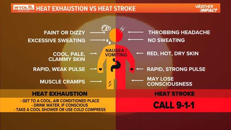 Why do we sweat? Explaining the science that causes sweating | wtol.com
