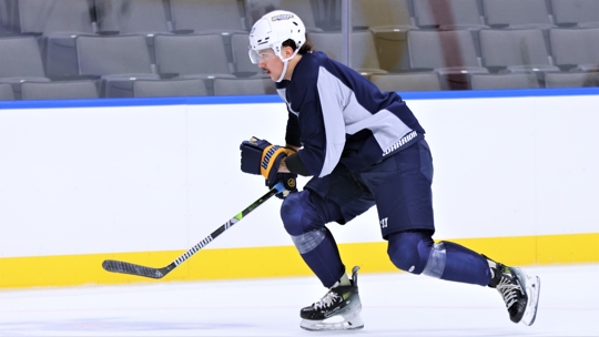 Walleye name former player as assistant coach, promote Bain to ...