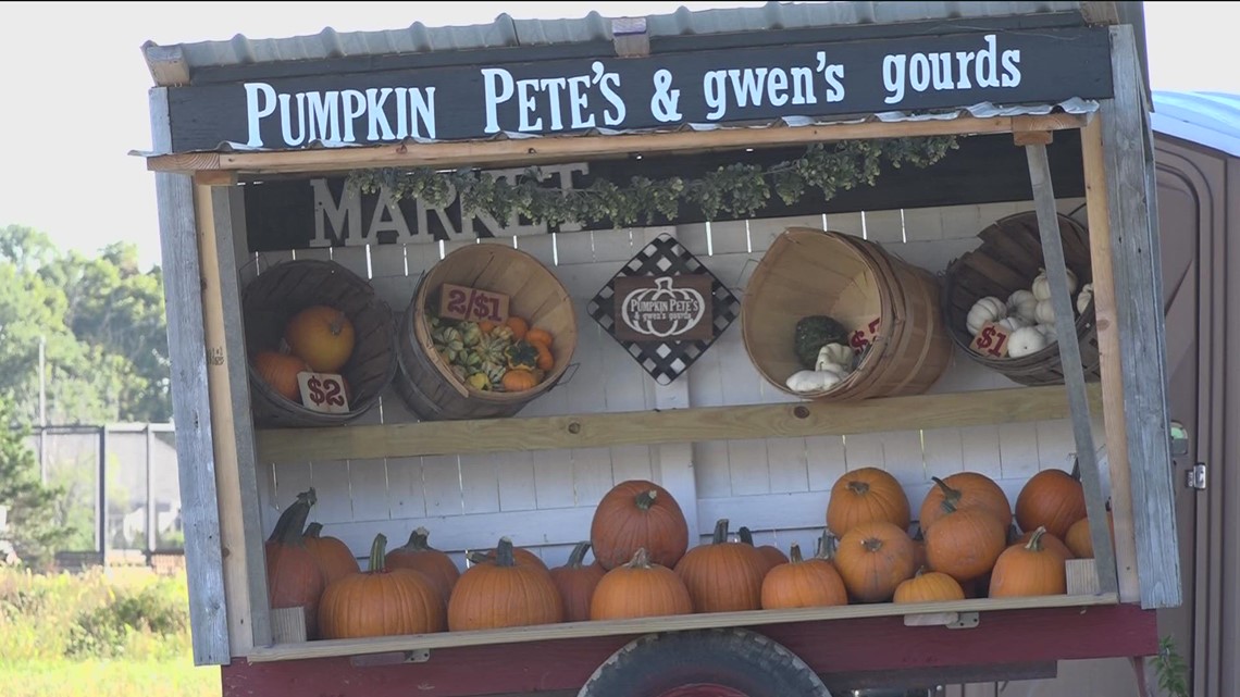 Pumpkin patches and apple orchards opening up in northwest Ohio | wtol.com