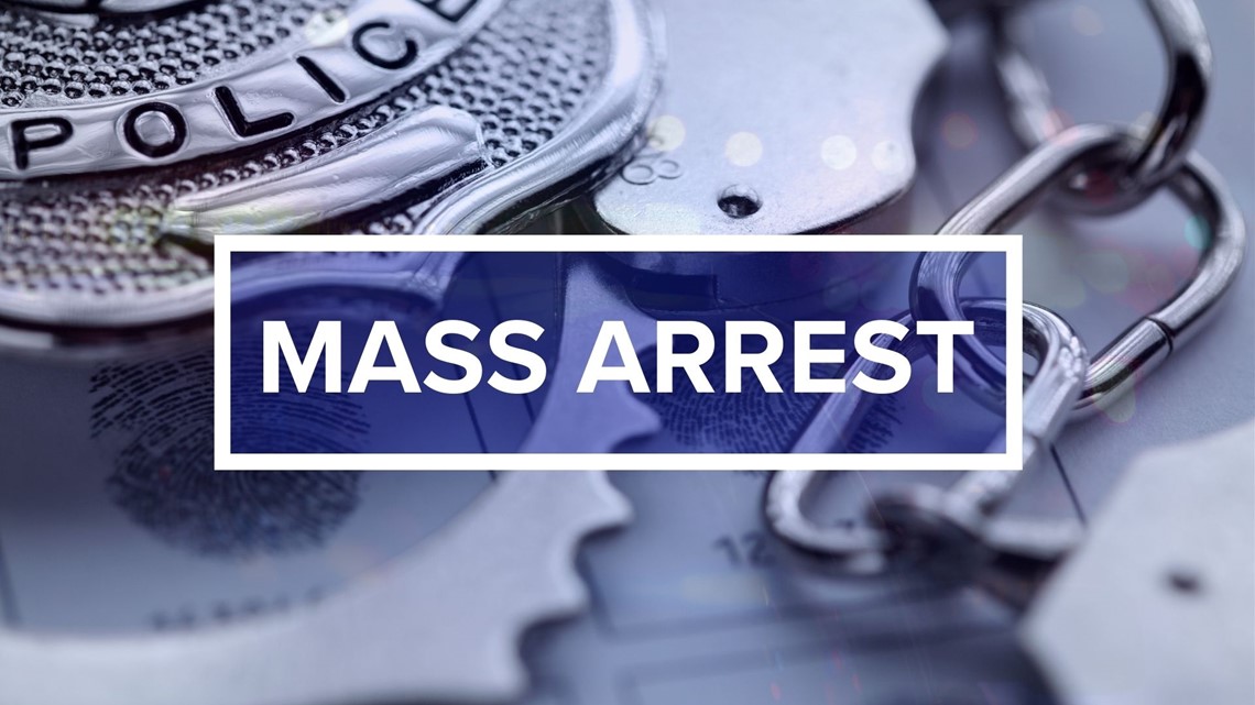 Several taken into custody in north Toledo 'mass arrest' | wtol.com