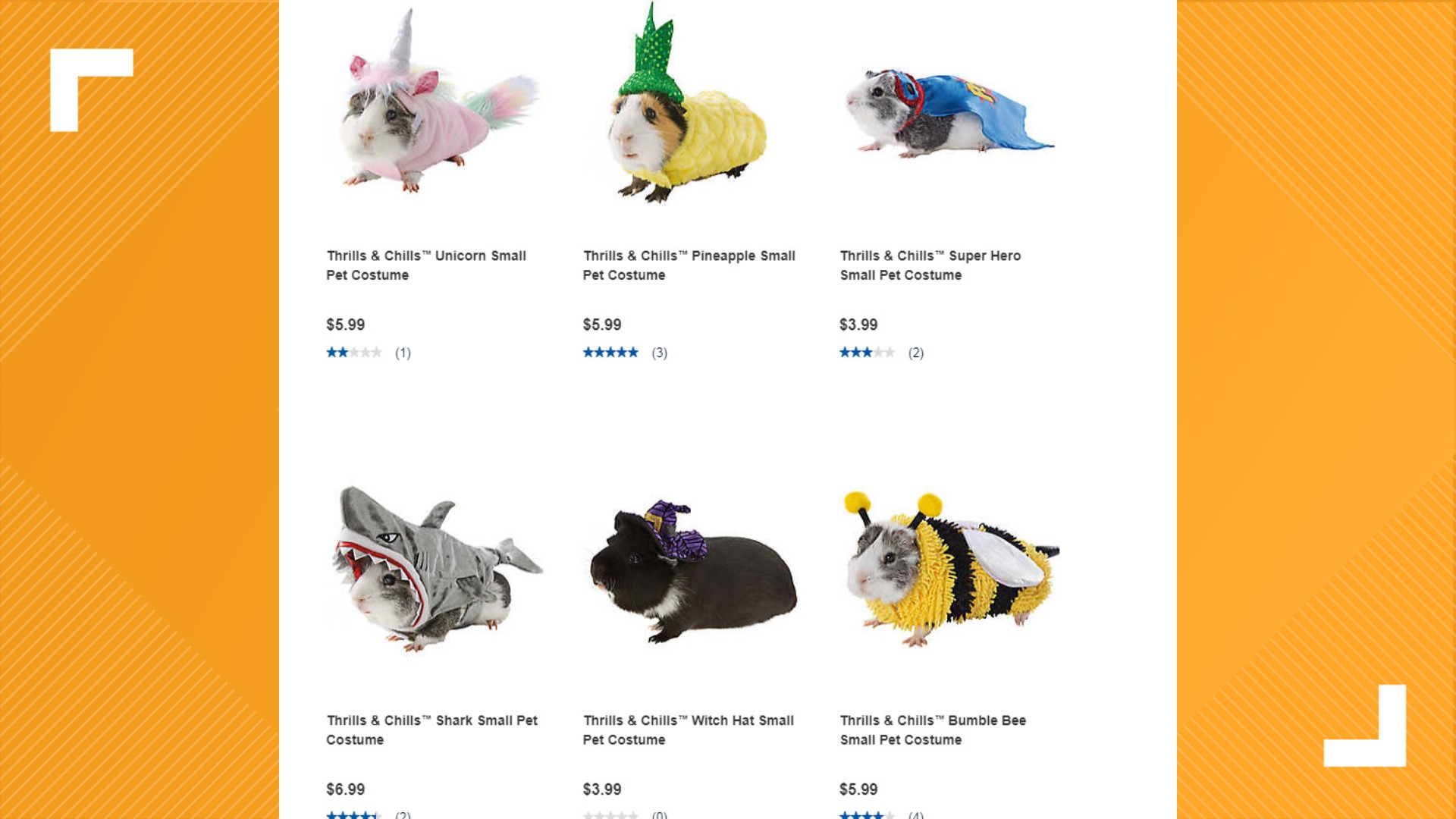 PetSmart has Halloween costumes for guinea pigs and they're the cutest ...