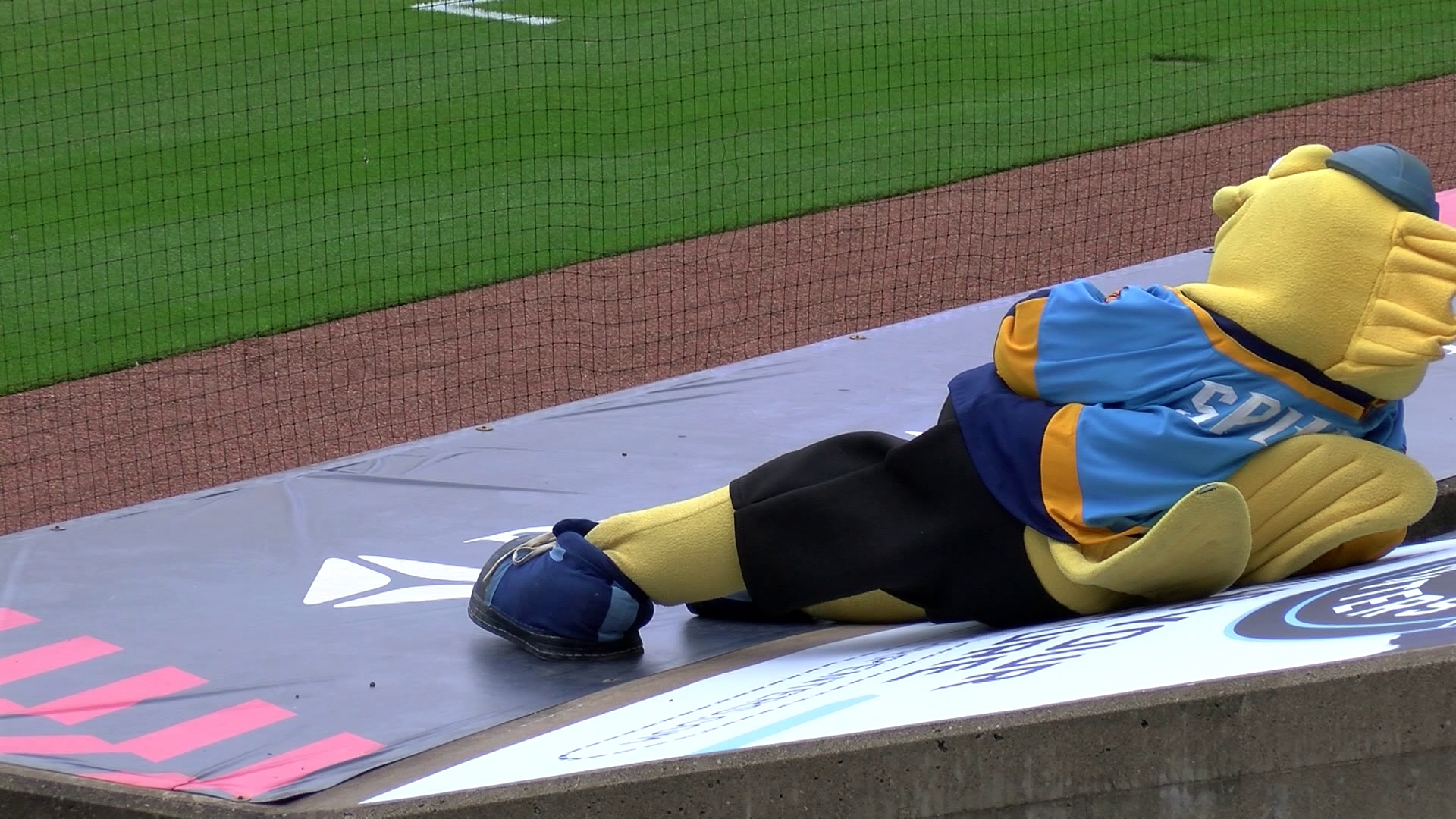 Toledo Walleye Kelly Cup Finals watch parties announced | wtol.com