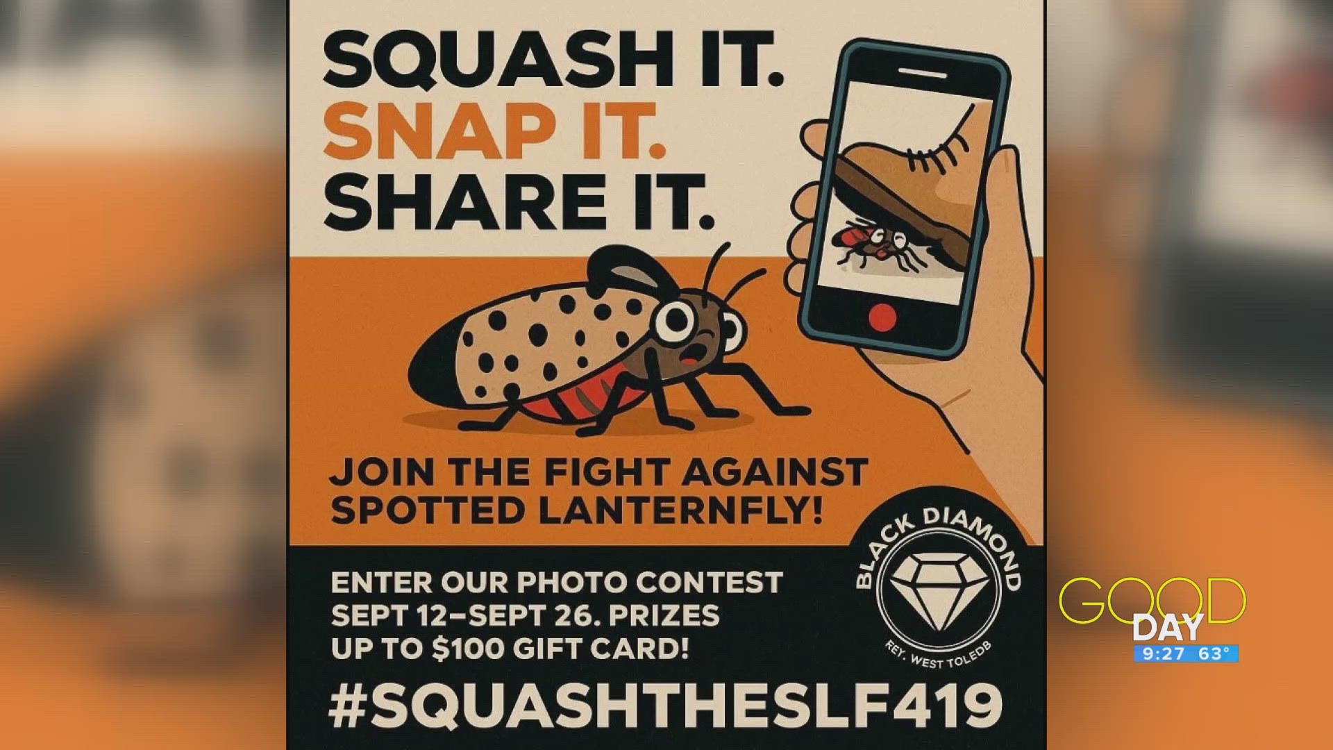 Black Diamond offering a bounty on spotted lantern flies with local ...