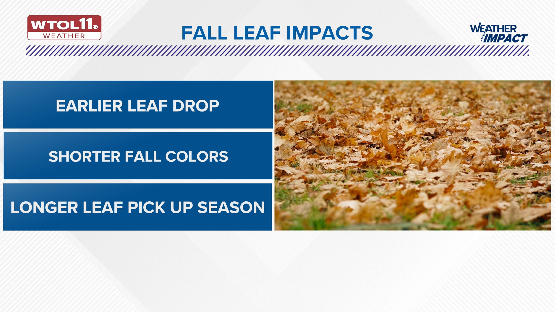 Why do leaves change color and fall in autumn? | wtol.com