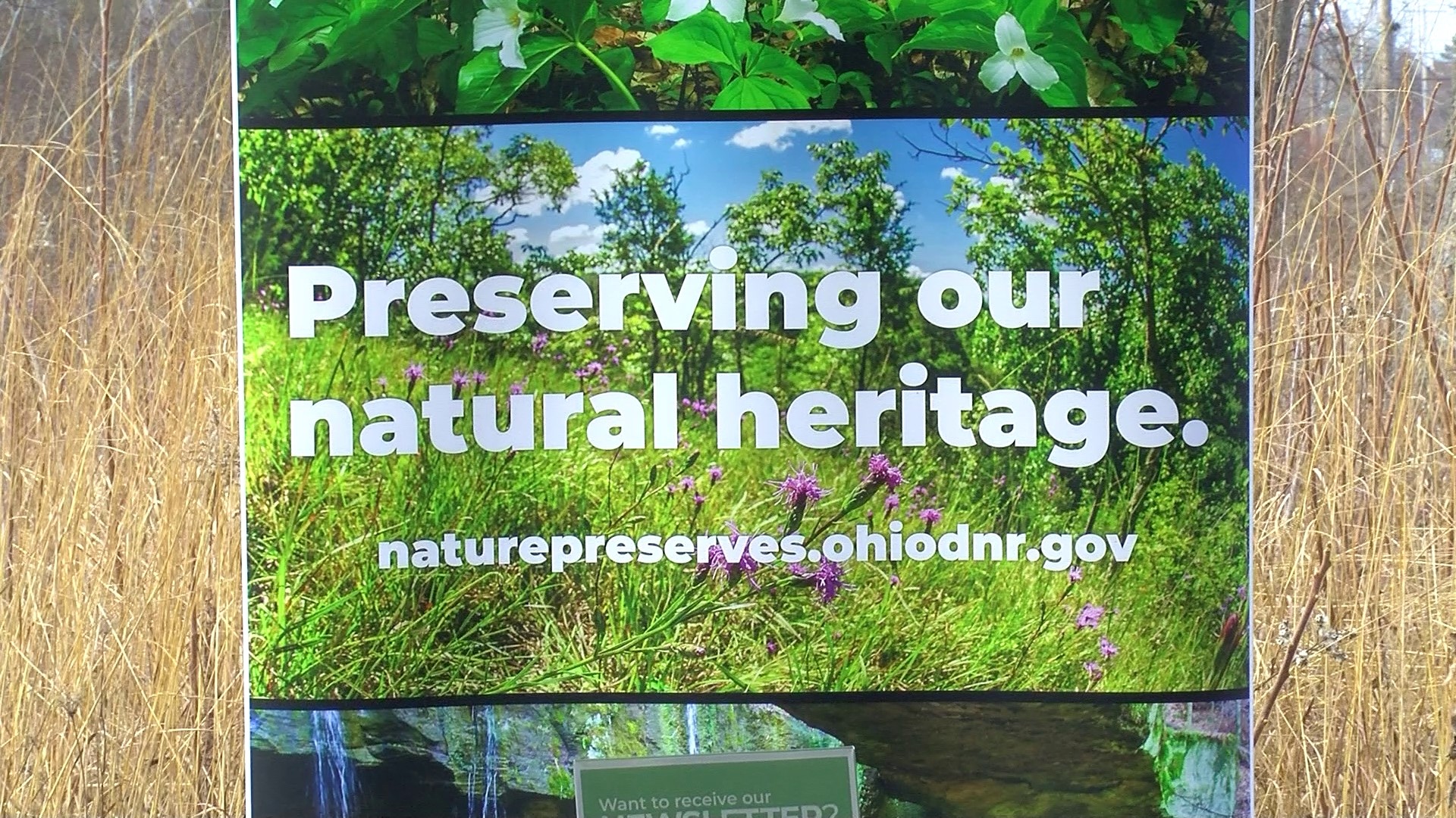 Newest northwest Ohio nature preserve dedicated in Whitehouse | wtol.com