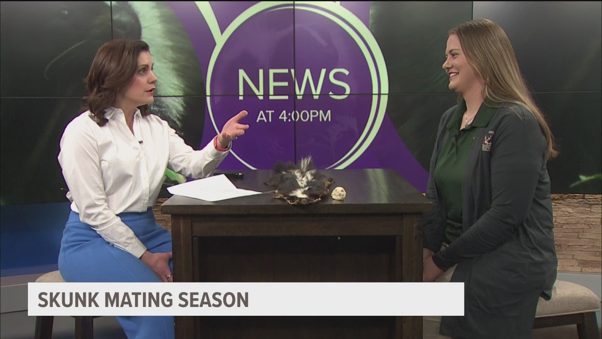 Love is in the air (and it's smelly). Skunk mating season is here ...