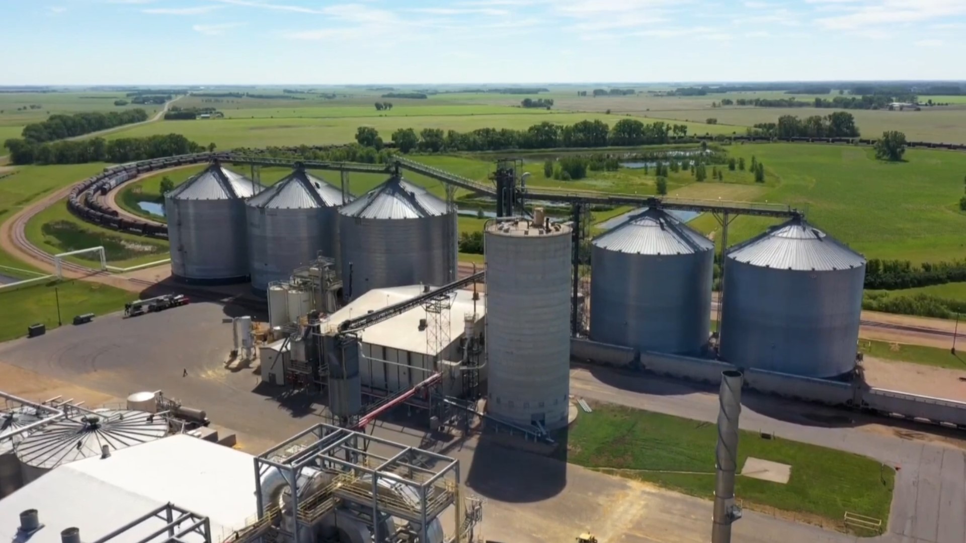 Options for native northwest Ohio plants for spring 2023 | wtol.com